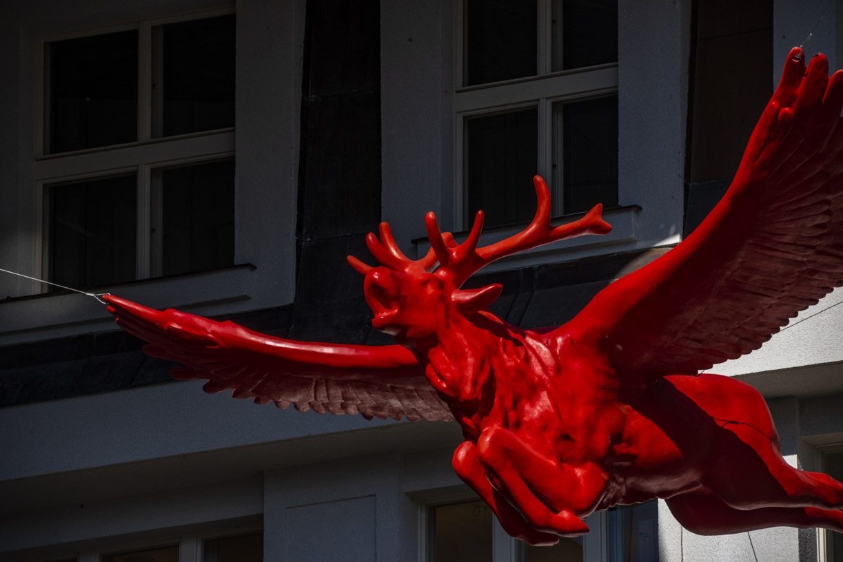 Ravenscar Seal Colony- August 20th 2018 – Jack Aylward Williams